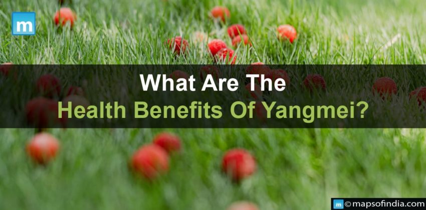 What Are The Health Benefits Of Yangmei? - Benefits
