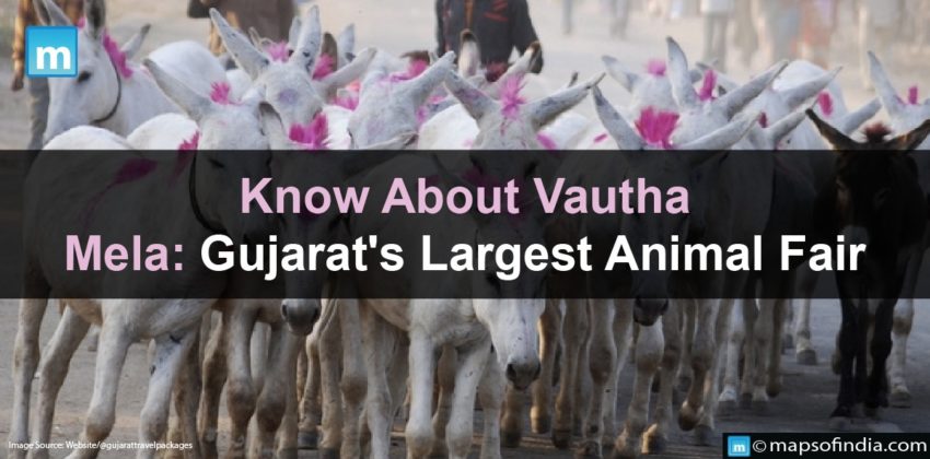 Know About Vautha Mela: Gujarat’s Largest Animal Fair - Events