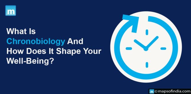What Is Chronobiology And How Does It Shape Your Well-Being? - Blog