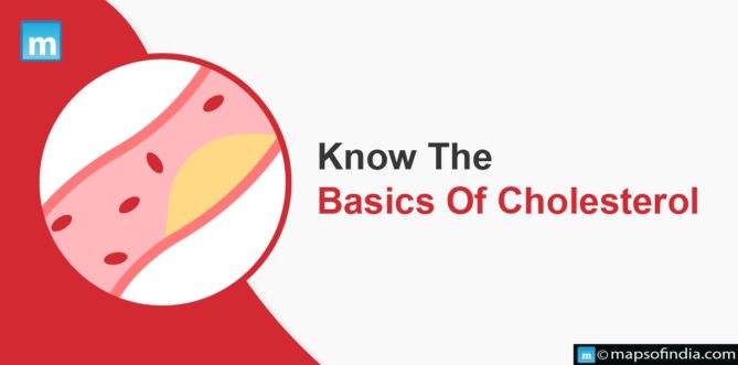 Know The Basics Of Cholesterol - Blog