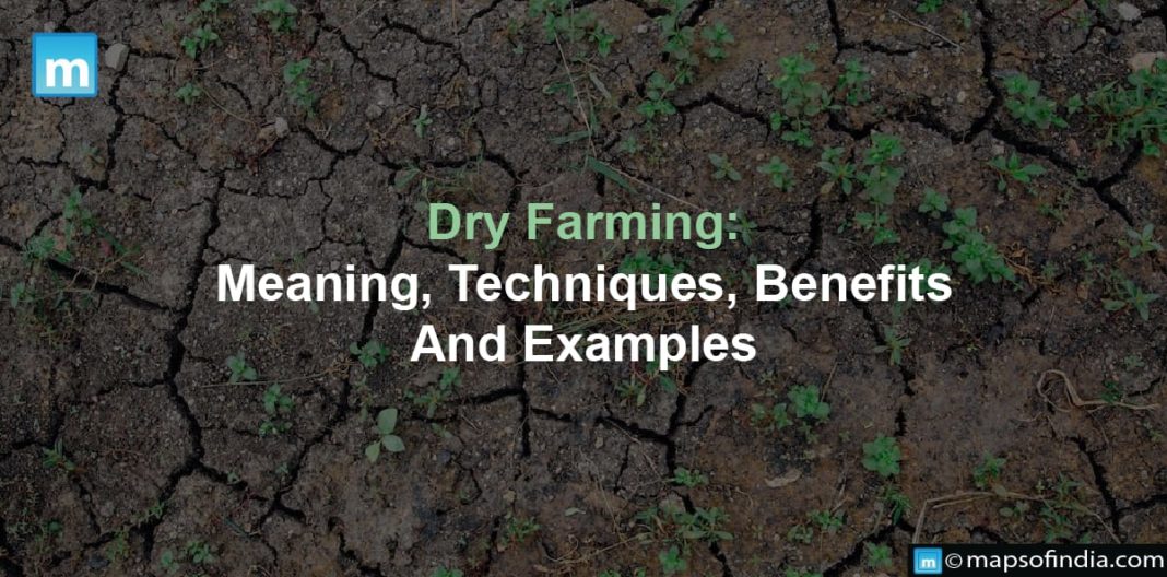 Dry Farming: Meaning, Techniques, Benefits And Examples - Agriculture