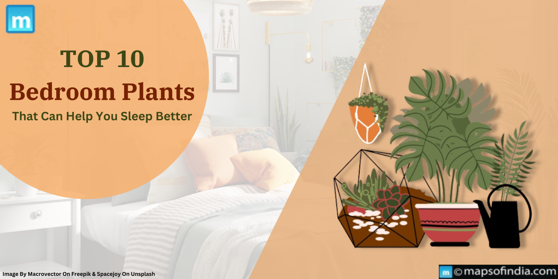 Top 10 Bedroom Plants That Can Help You Sleep Better - Biodiversity