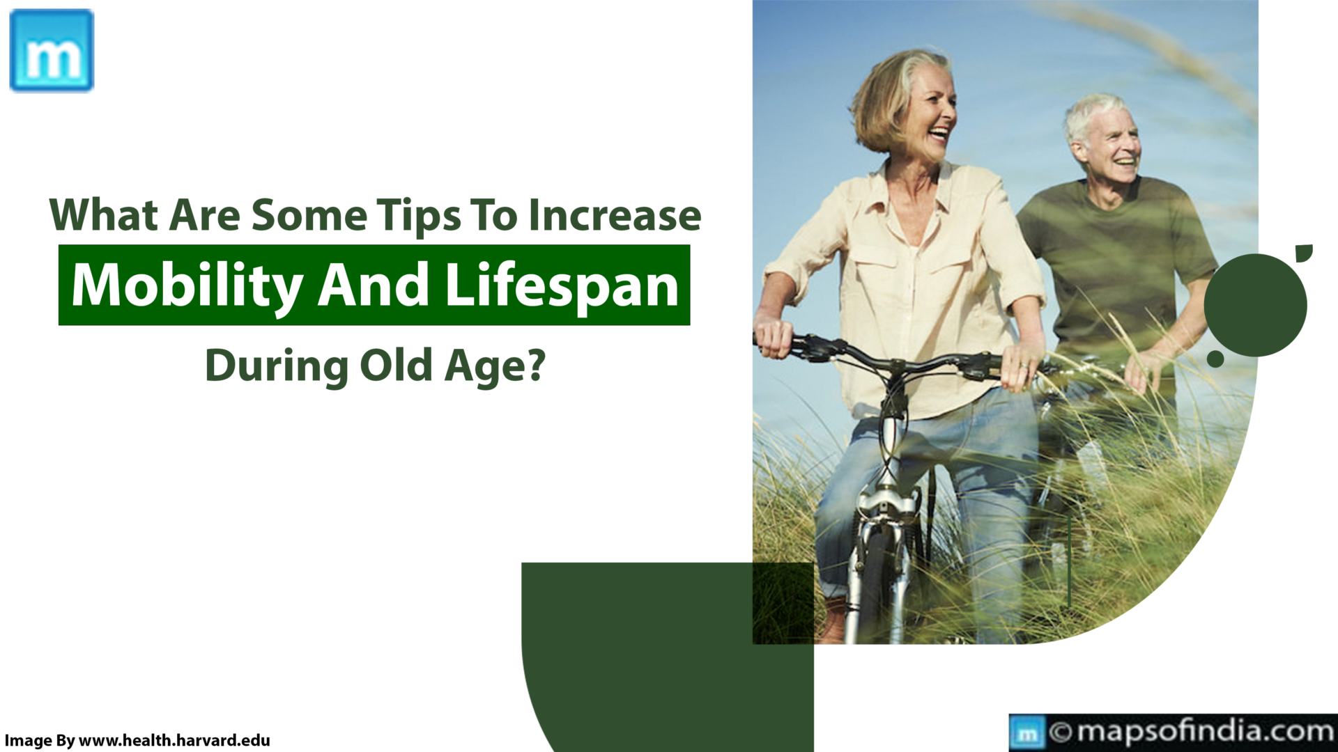 What Are Some Tips To Increase Mobility And Lifespan During Old Age ...