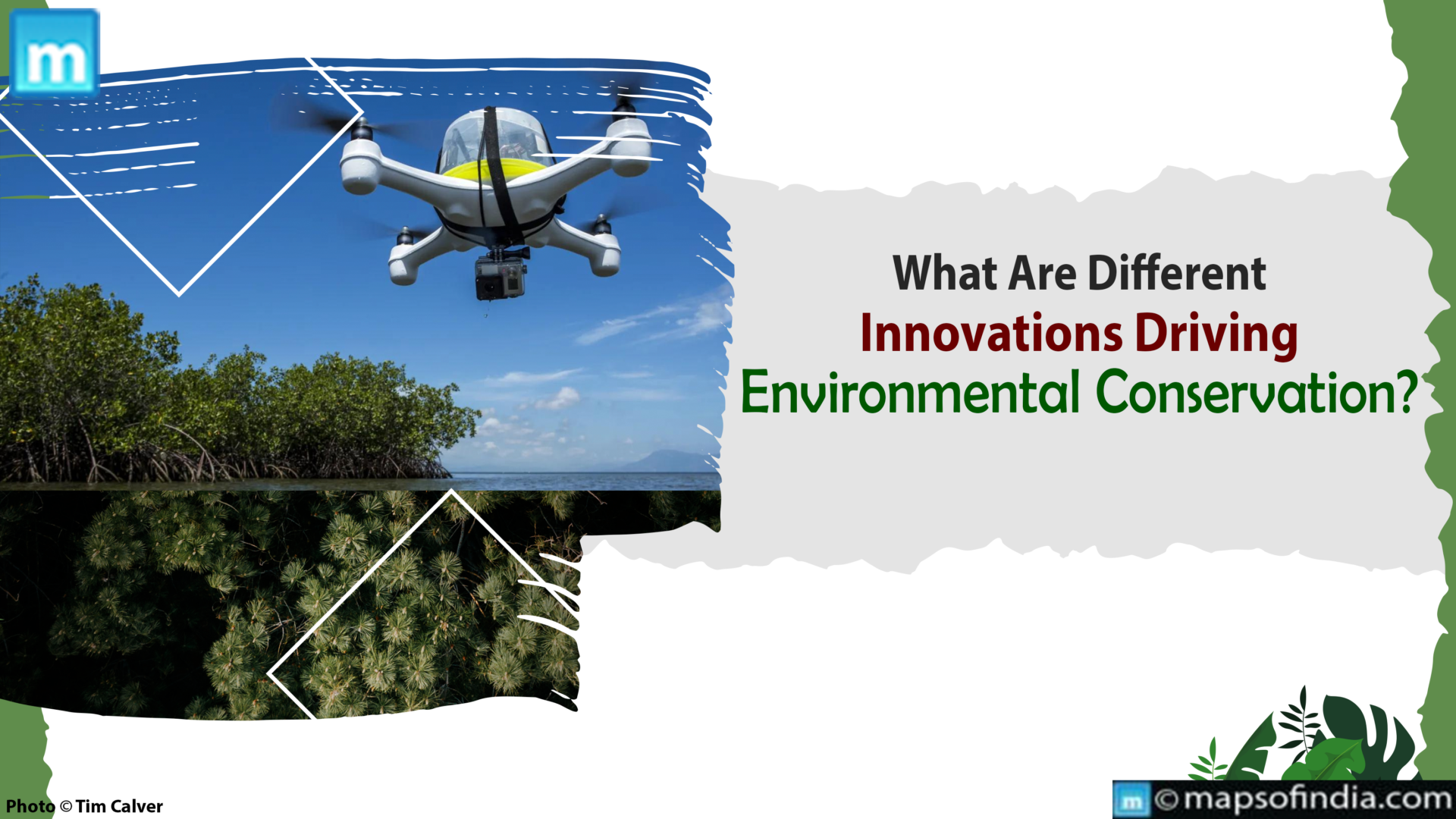 What Are Different Innovations Driving Environmental Conservation ...