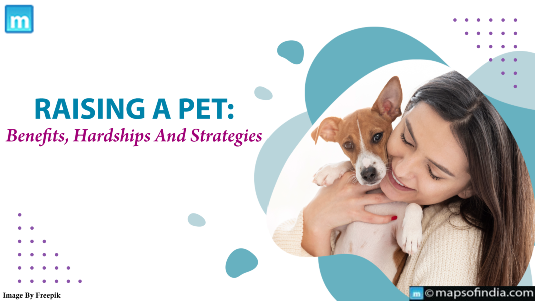 Raising A Pet: Benefits, Hardships And Strategies - Animals