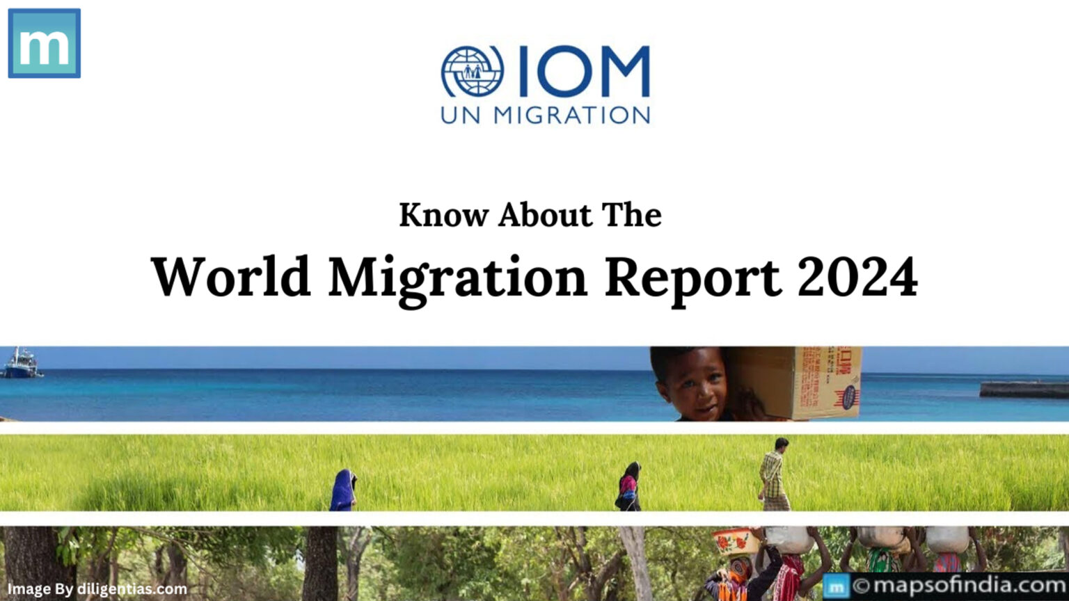 Know About The World Migration Report 2024 - Blog