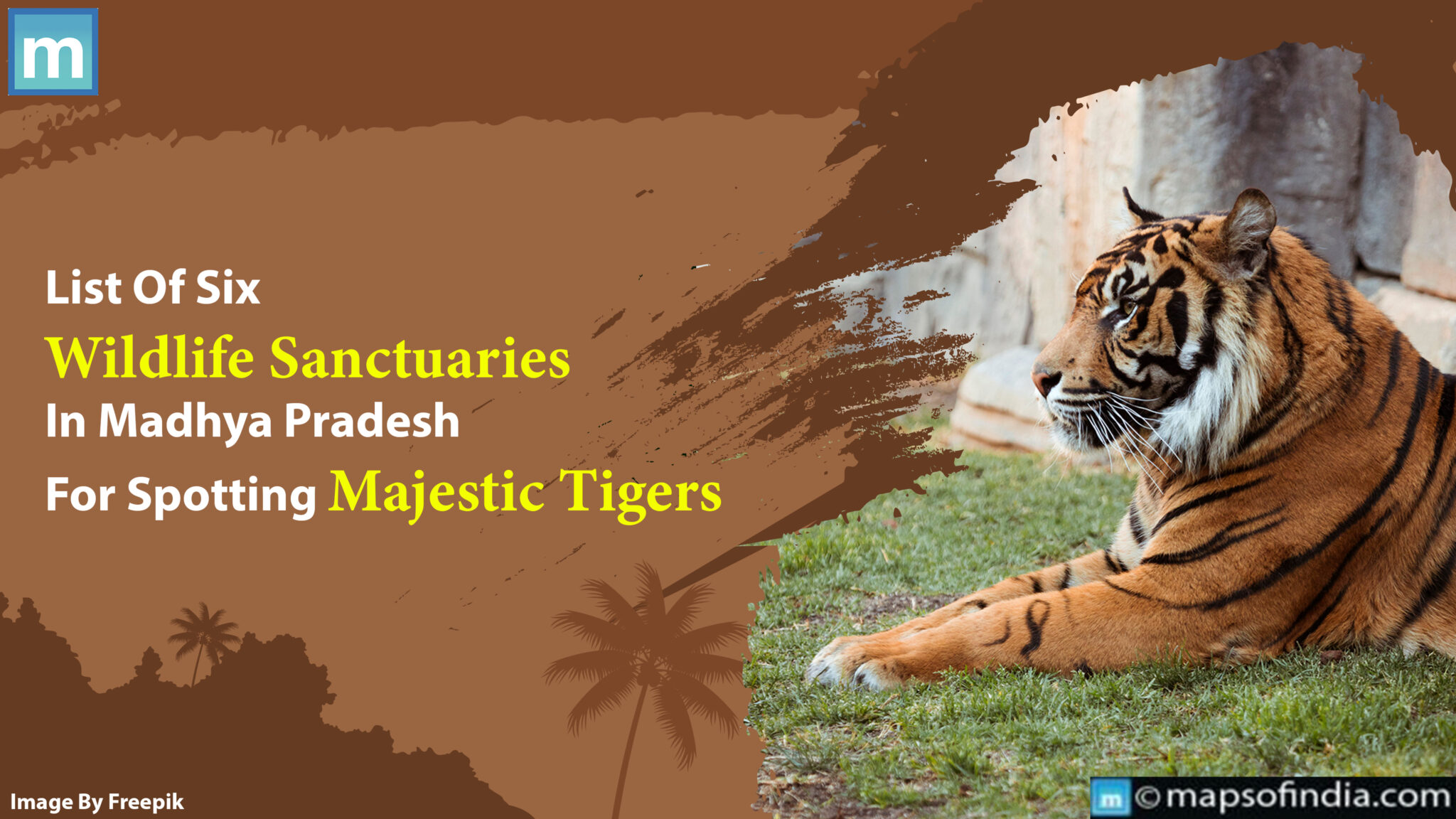 List Of Six Wildlife Sanctuaries In Madhya Pradesh For Spotting ...