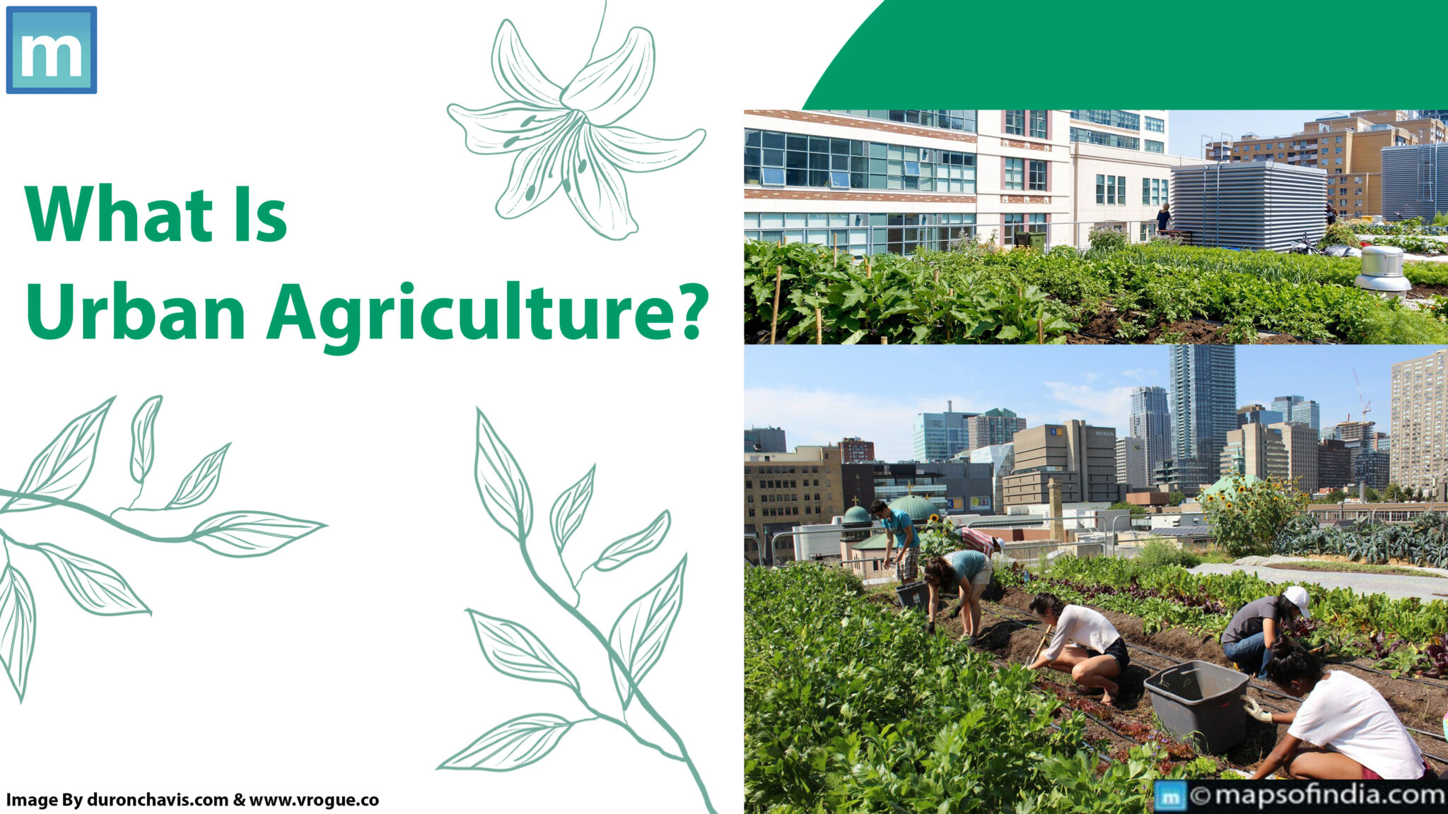 What Is Urban Agriculture? - Agriculture