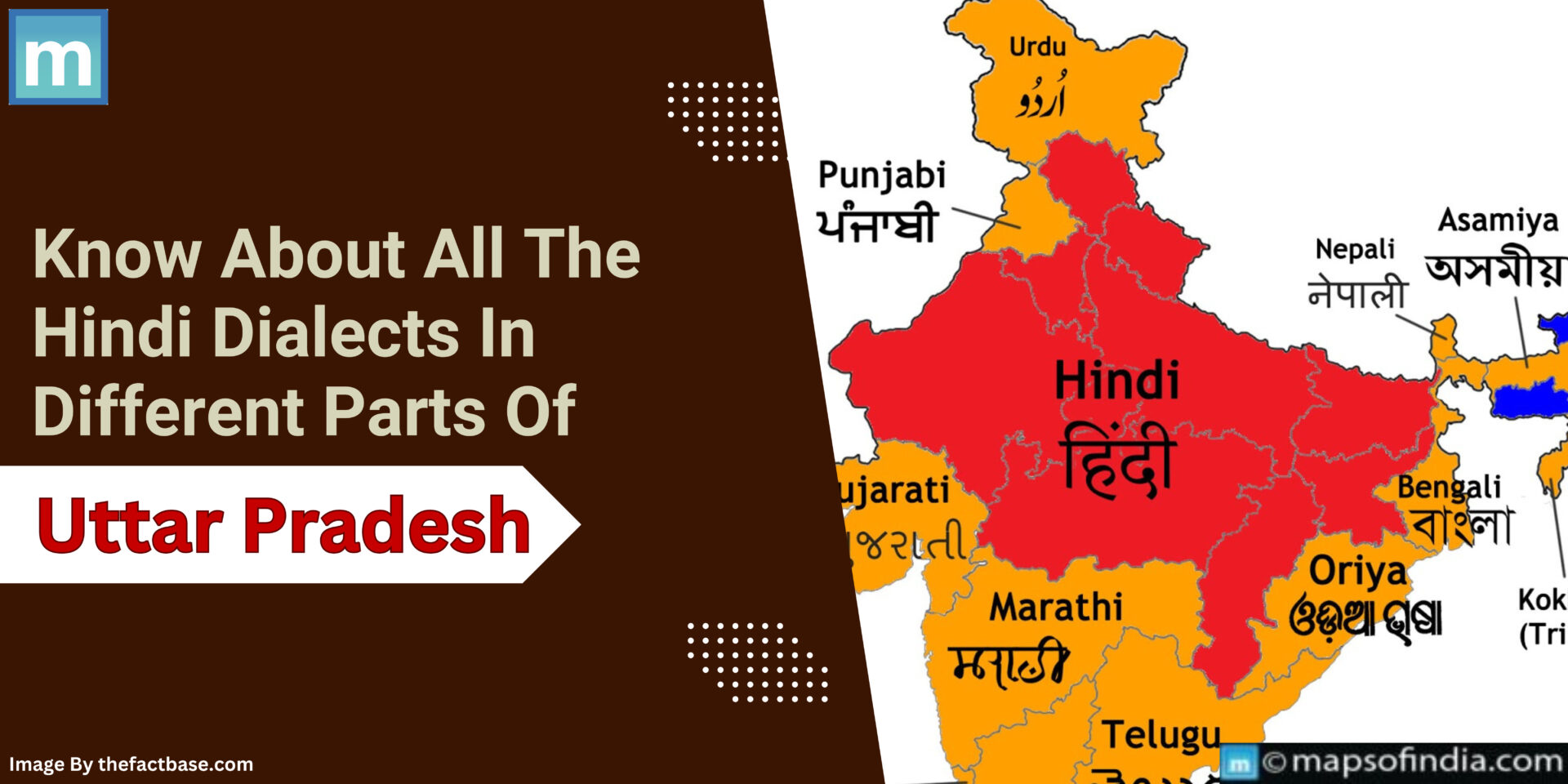Know About All The Hindi Dialects In Different Parts Of Uttar Pradesh ...