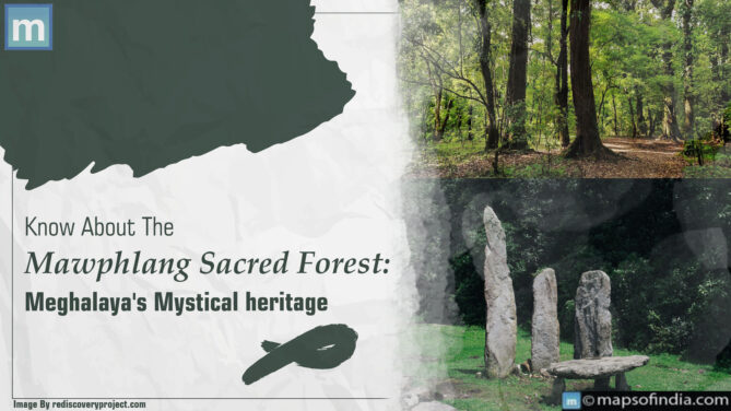 Know About The Mawphlang Sacred Forest: Meghalaya’s Mystical Heritage ...