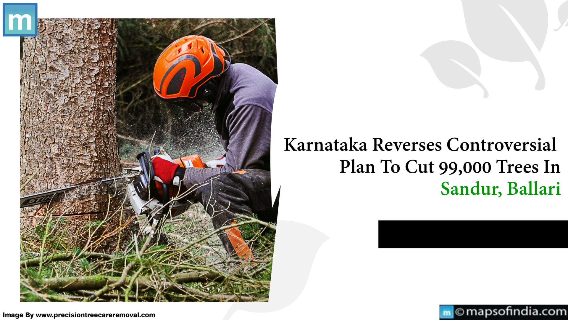 Karnataka Reverses Controversial Plan To Cut 99,000 Trees In Sandur, Ballari - Education