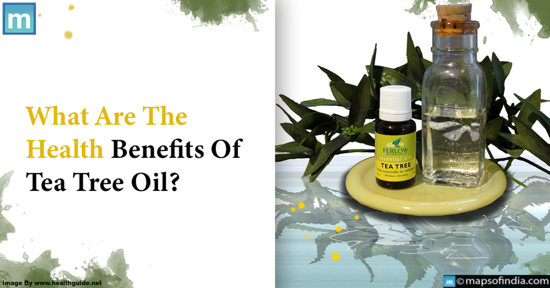 What Are The Health Benefits Of Tea Tree Oil? - Benefits
