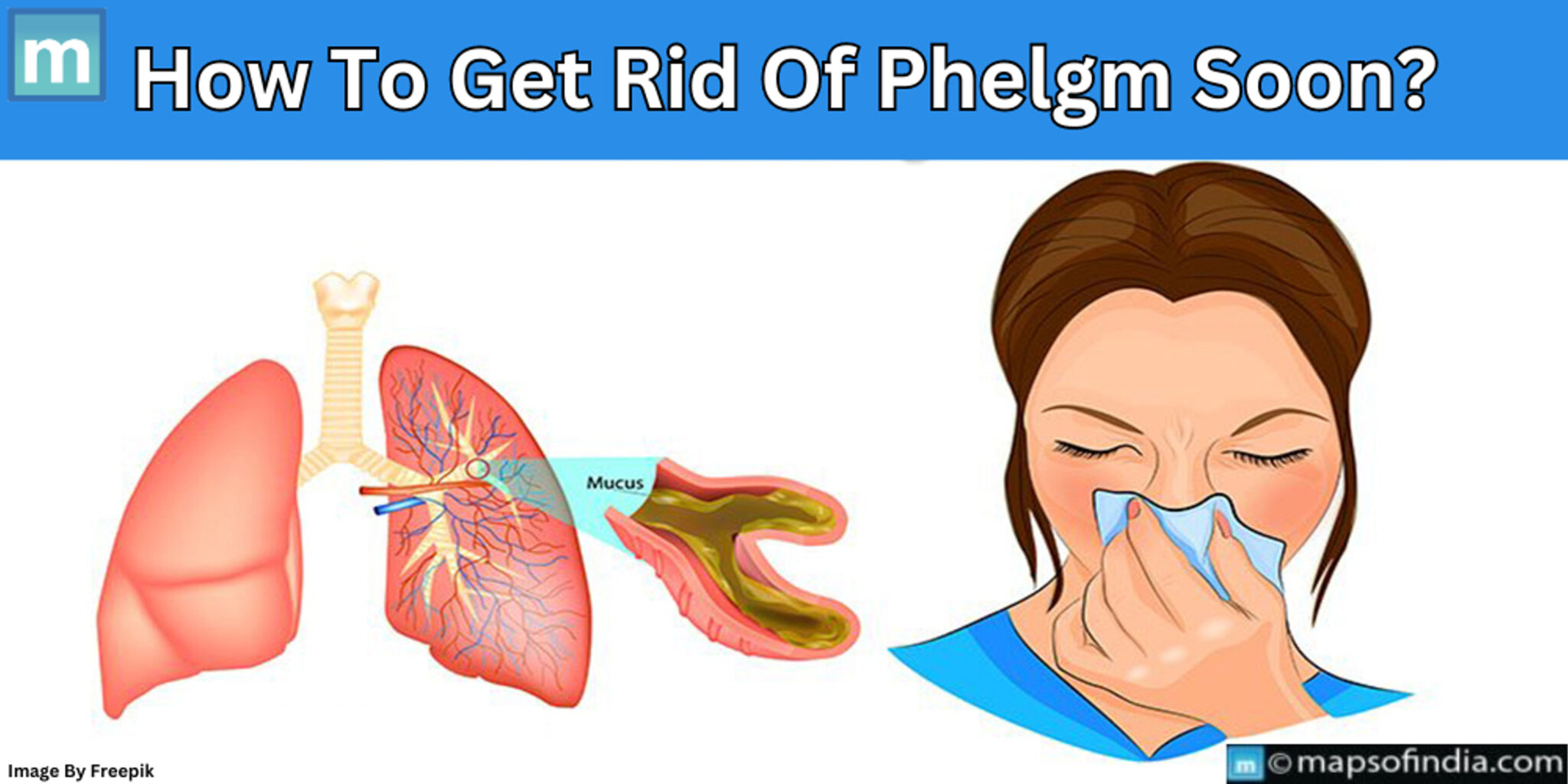 How To Get Rid Of Phlegm Soon? - Bacteria