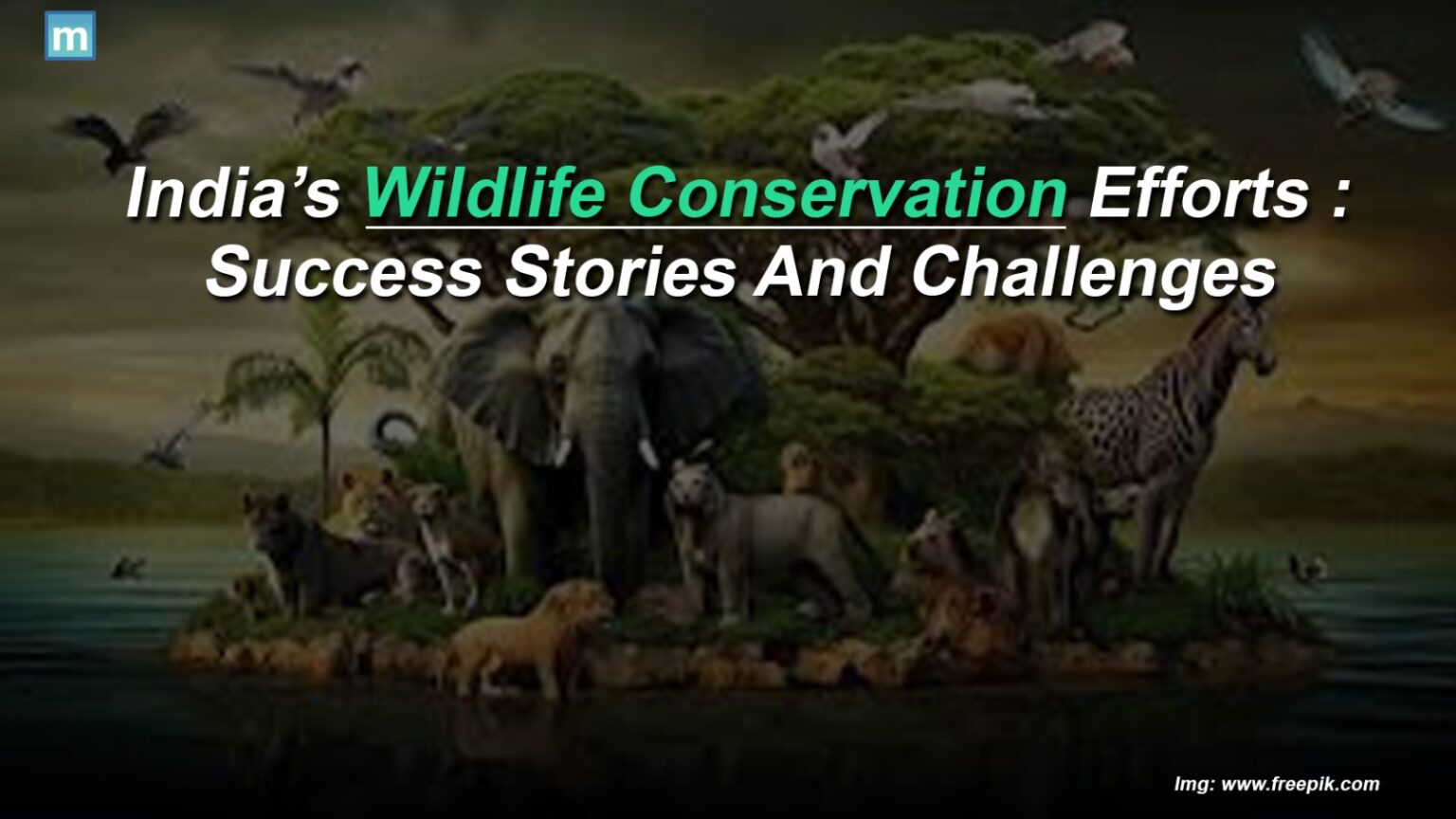 India’s Wildlife Conservation Efforts: Success Stories And Challenges ...