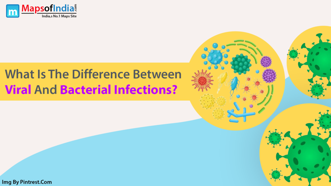 Viral vs. Bacterial Infections: How to Tell Them Apart