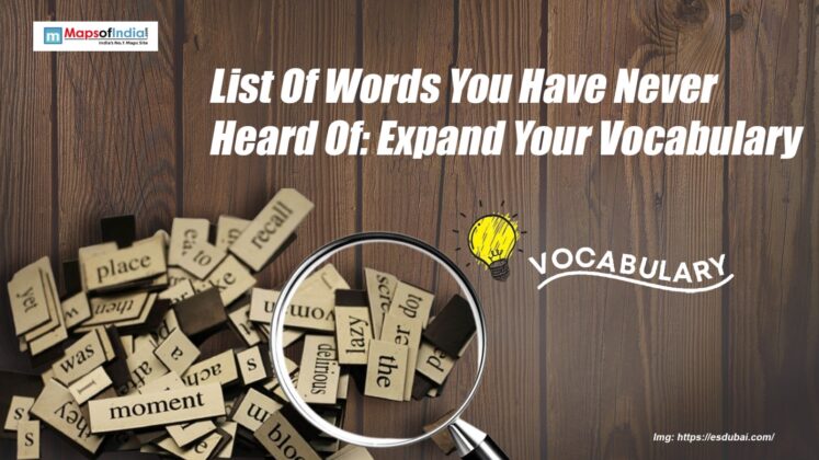 Expand Your Vocabulary With These Rare And Fascinating Words