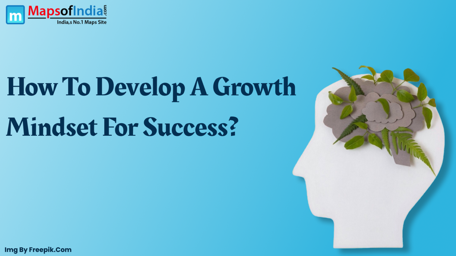Developing a Growth Mindset: Key Steps to Achieve Success