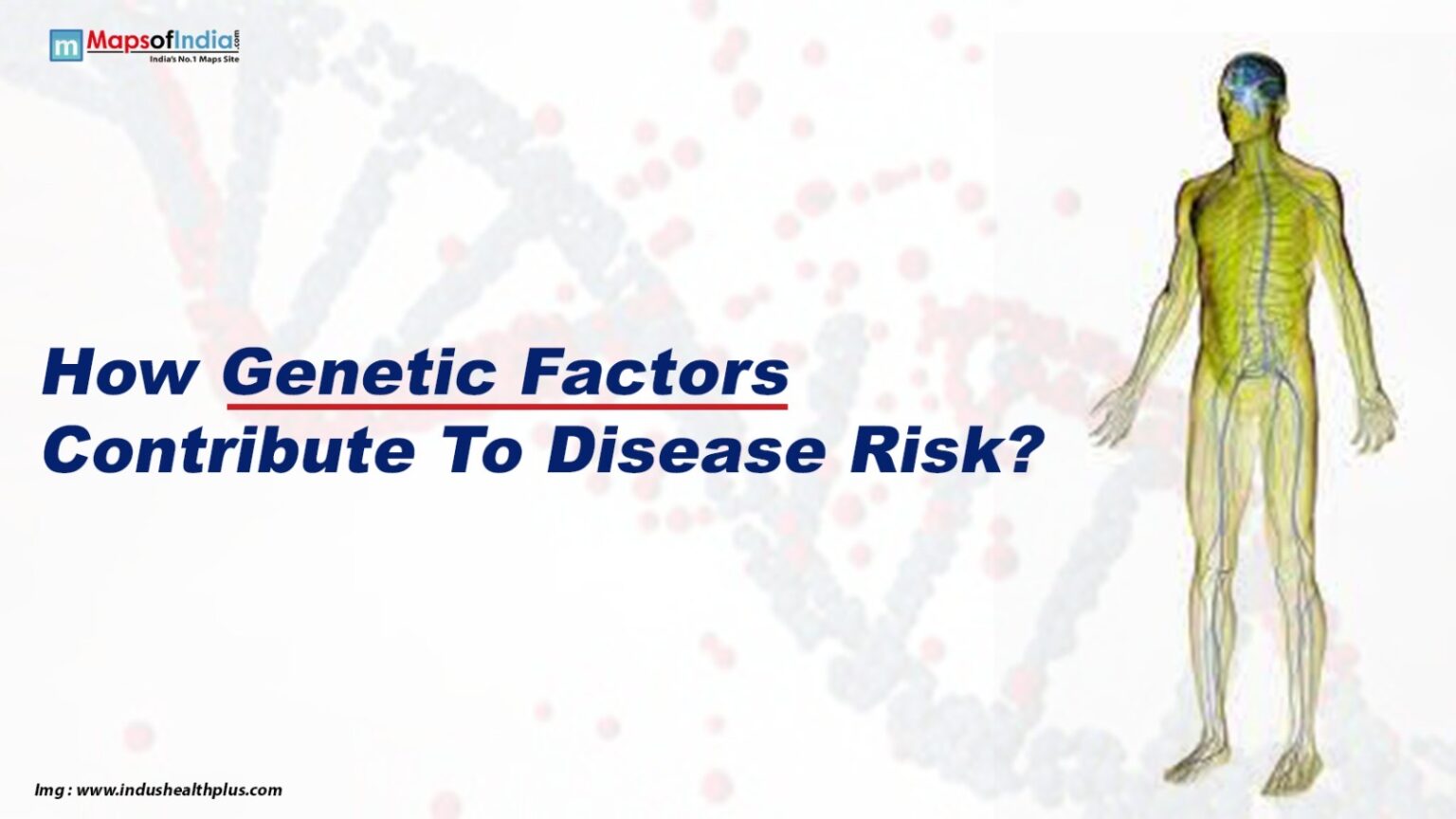 Genetic Factors and Disease Risk: What You Need to Know