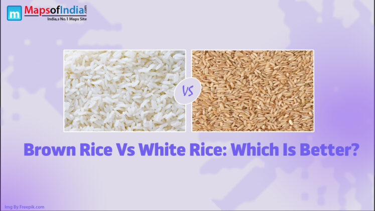 Brown Rice vs. White Rice: Which is Healthier?