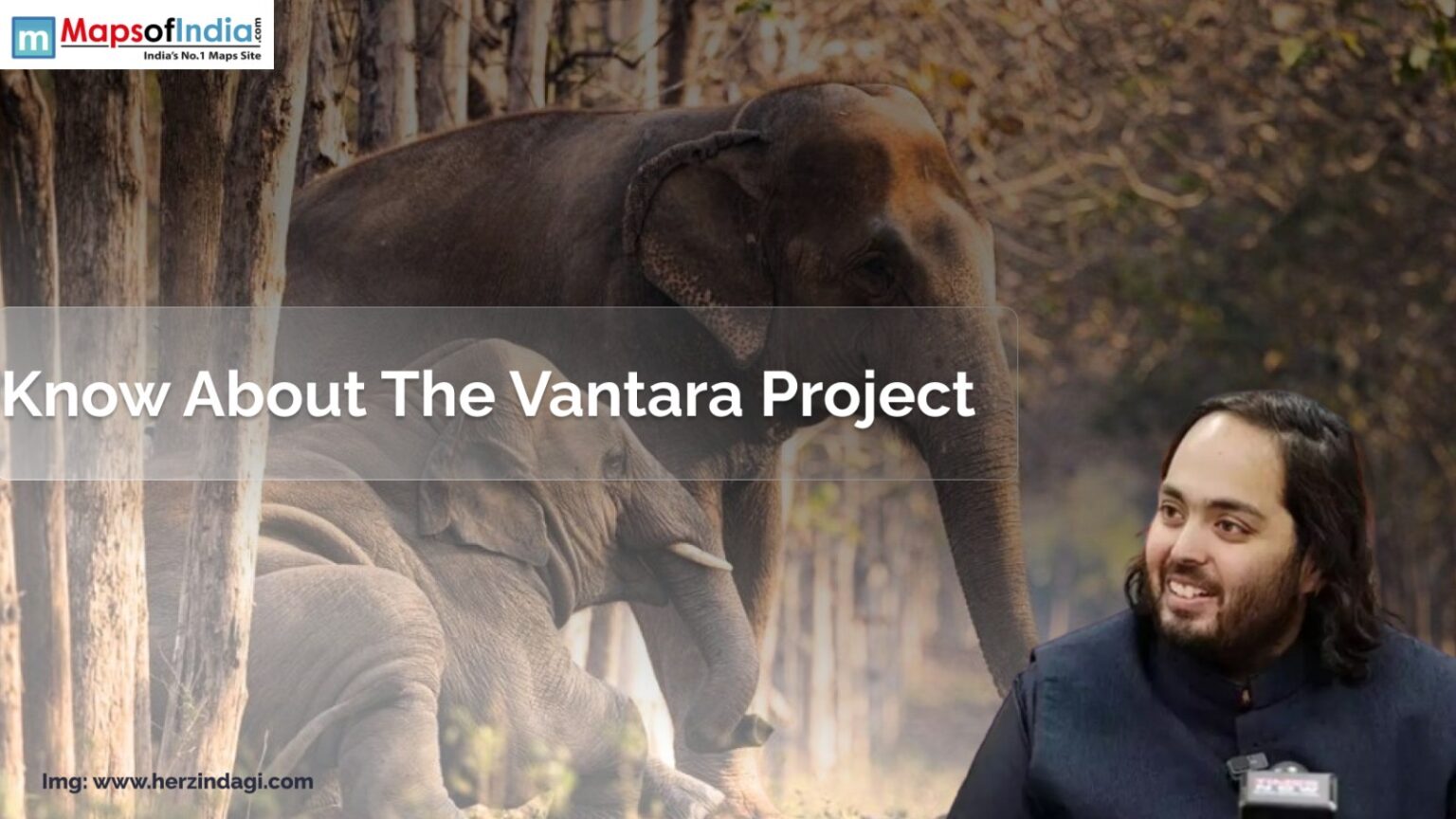 Dharavi Pin Code (Mumbai, Maharashtra) | Dharavi Postal Index Number ...