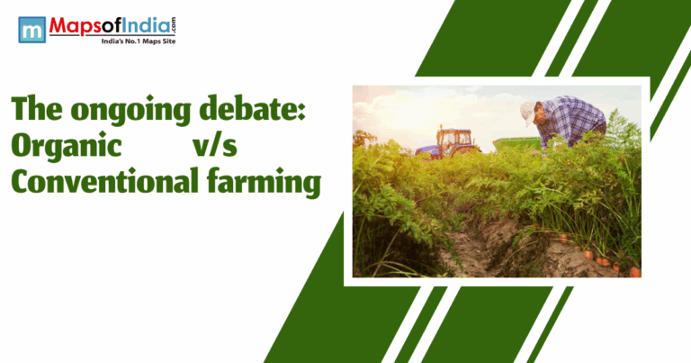 Organic vs Conventional Farming: Which Is Better?