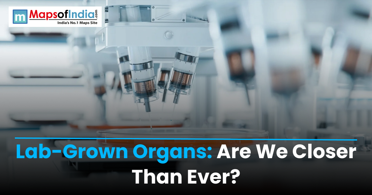 Lab-Grown Organs: The Future of Transplants?
